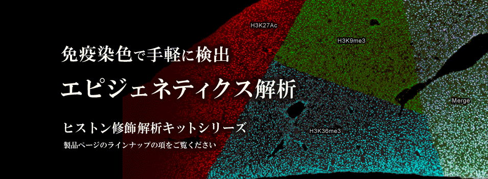 同仁化学研究所 -DOJINDO-