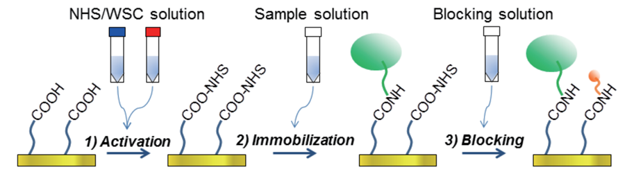 Amine Coupling Kit A515 取扱説明書 | DOJINDO
