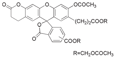 BCECF-AM special packaging B221 取扱説明書 | DOJINDO