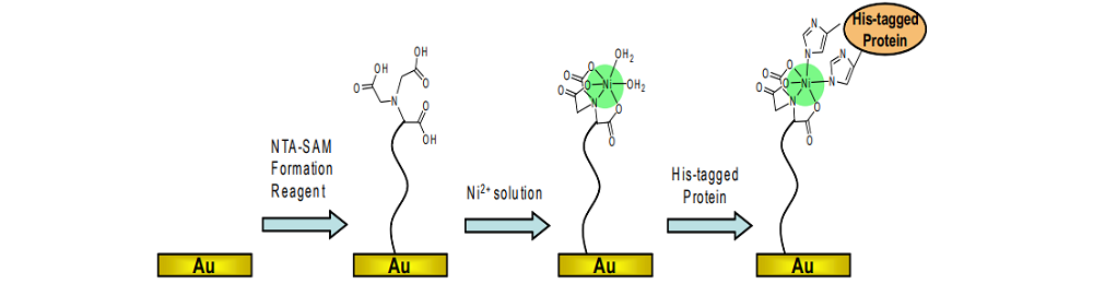 NTA-SAM Formation Reagent N475 取扱説明書 | DOJINDO